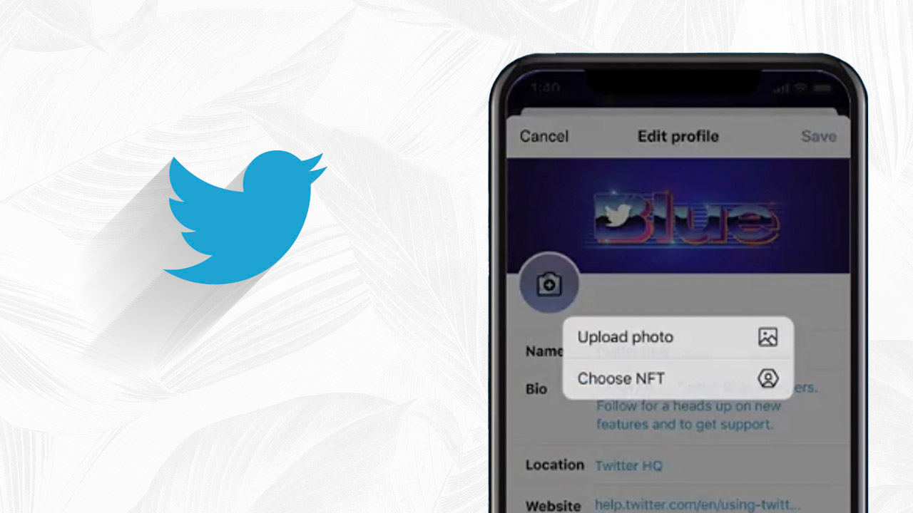 Satsdaily - 5 Reasons Twitter NFT Profile Pictures Matter